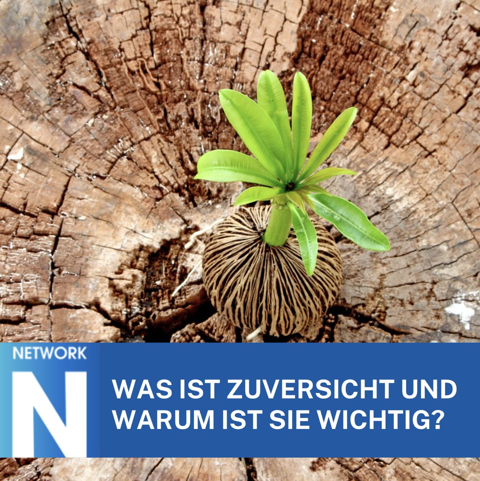 Sprüche über Zuversicht und Hoffnung: Inspirierende Zitate